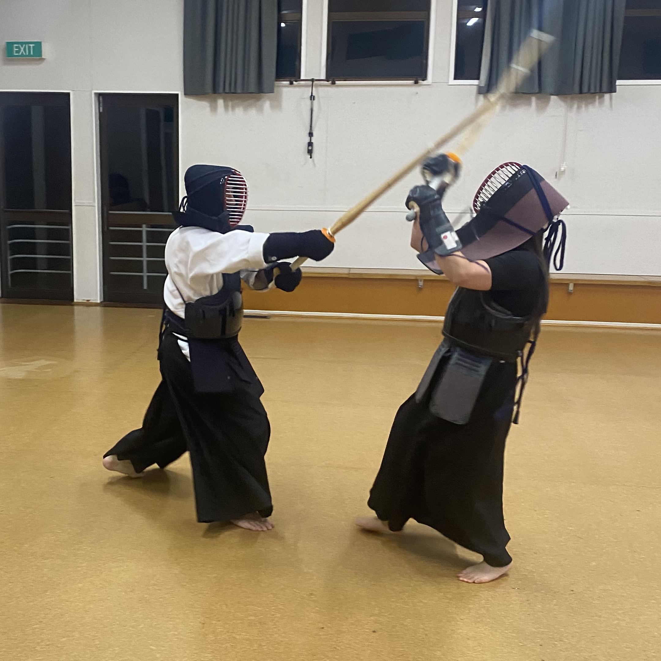 Bushijutsu - Learn the Art of the Samurai